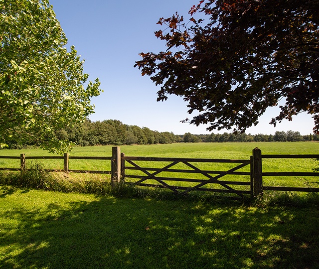 Holiday Cottages - Wellspring Farm in North Yorkshire